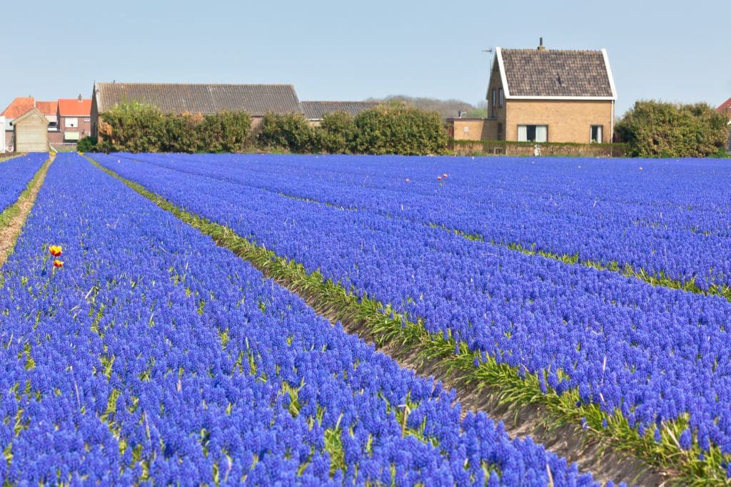Tipos de encuadres fotográficos: ¡TOP 4!